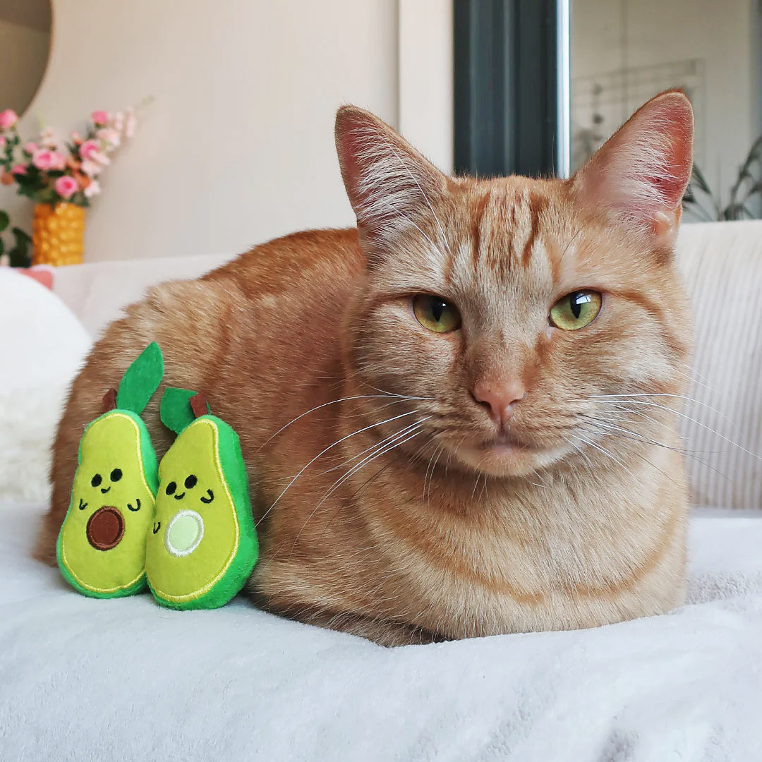 Avocado set met catnip - Hugsmart – Studio Youka